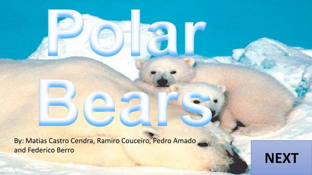 Polar bears2 | PPTX