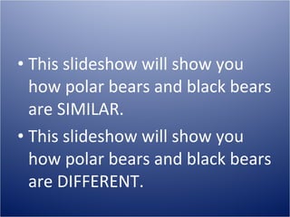 Polar bears and black bears | PPT
