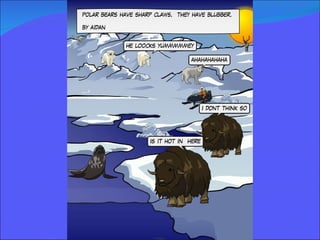 Polar bears and penguins | PPT