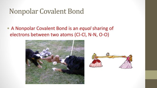 Polar and nonpolar bonds and polar molecules | PPTX | Chemistry | Science