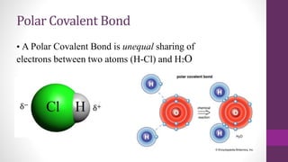 Polar Bonds and Polar Molecules.pptx