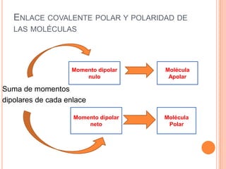 Polaridad de enlaces y moléculas | PPTX
