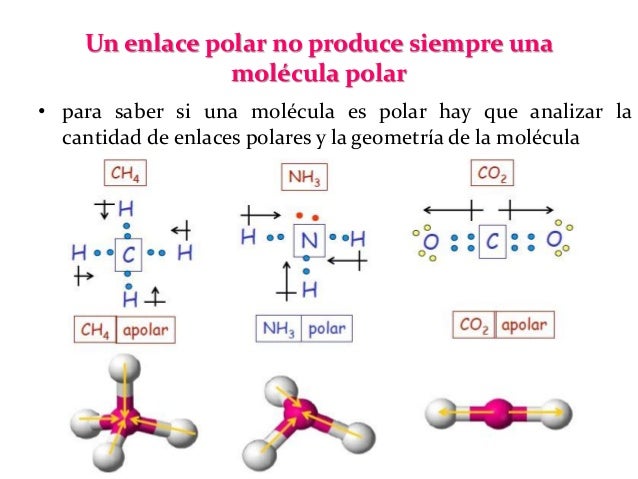 Polaridad molecular