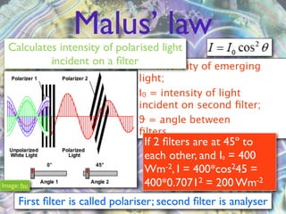 IB Physics Polarisation flippingphysics by Nothingnerdy | KEY