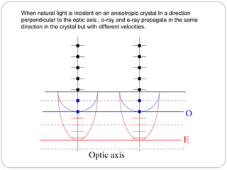 Polarisation | PPTX