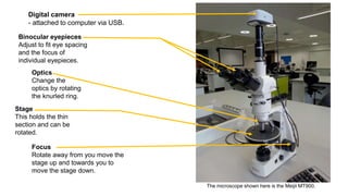 Polarising-microscope.pptx