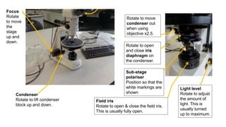 Polarising-microscope.pptx