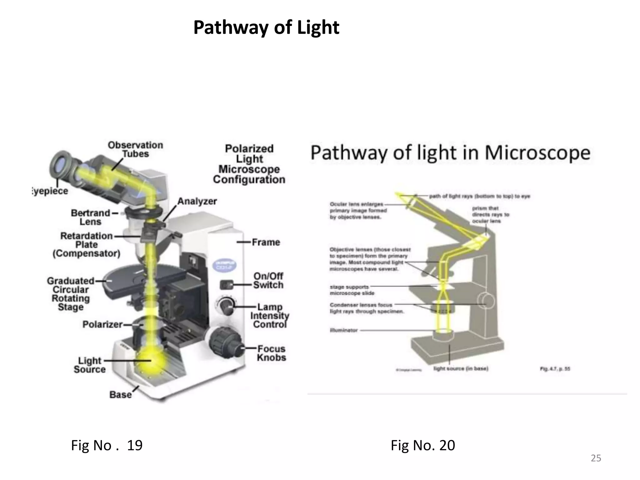 Polarising microscope | PPTX