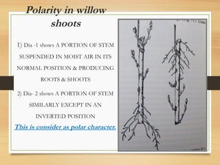 Polarity of the components present in the plant | PPTX