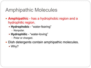 Polarity and Intermolecular Forces...ppt