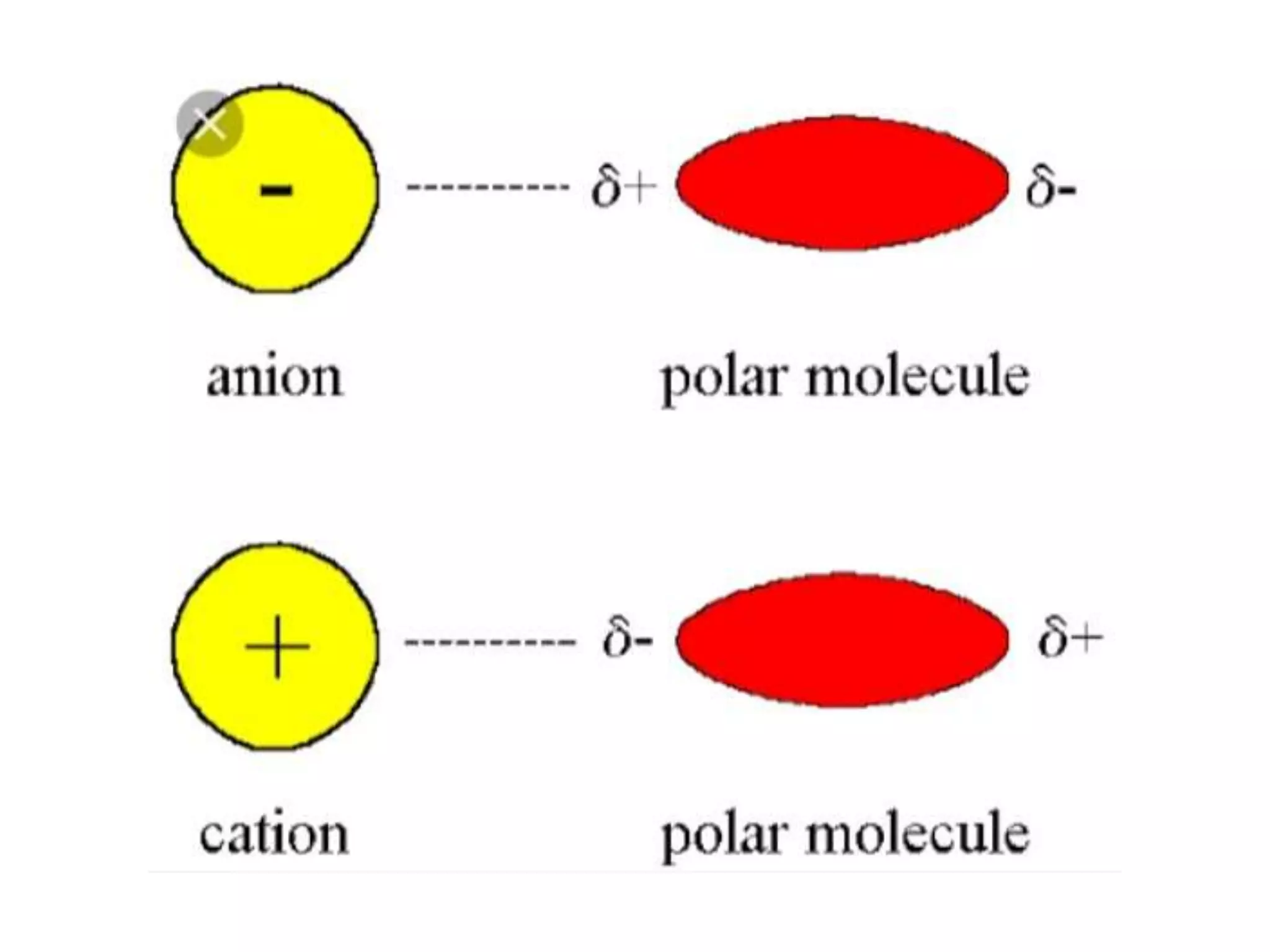 Polarity and Intermolecular forces | PPTX