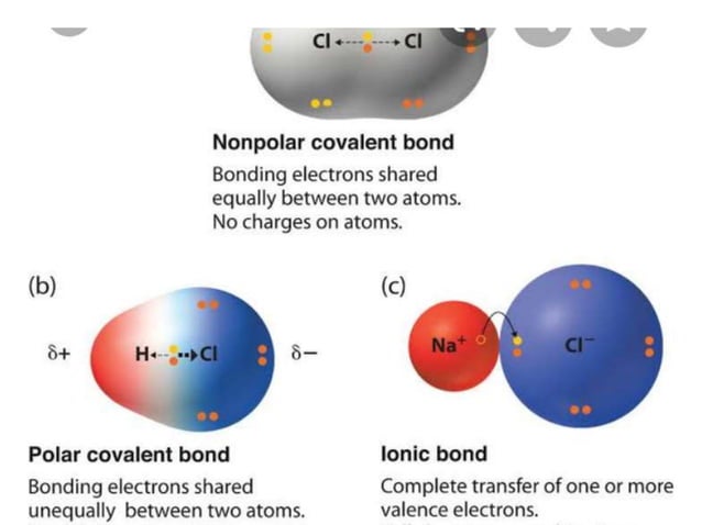 Polarity and Intermolecular forces | PPTX | Chemistry | Science