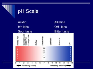 Pol, Sol, Acids & Bases | PPT | Chemistry | Science