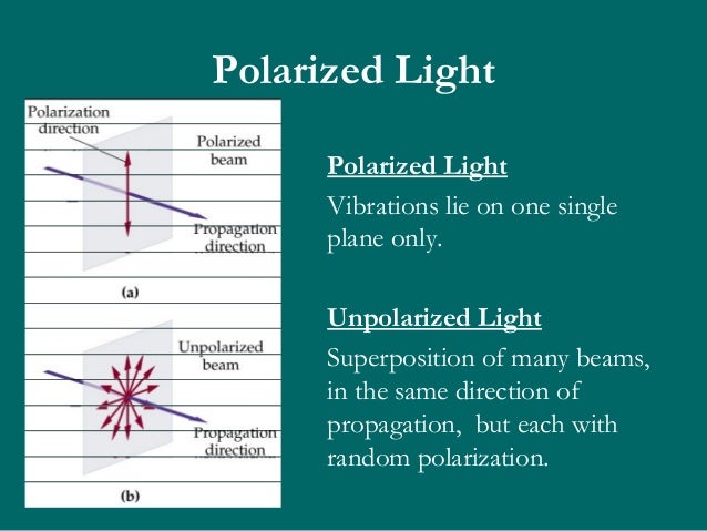 Polarization