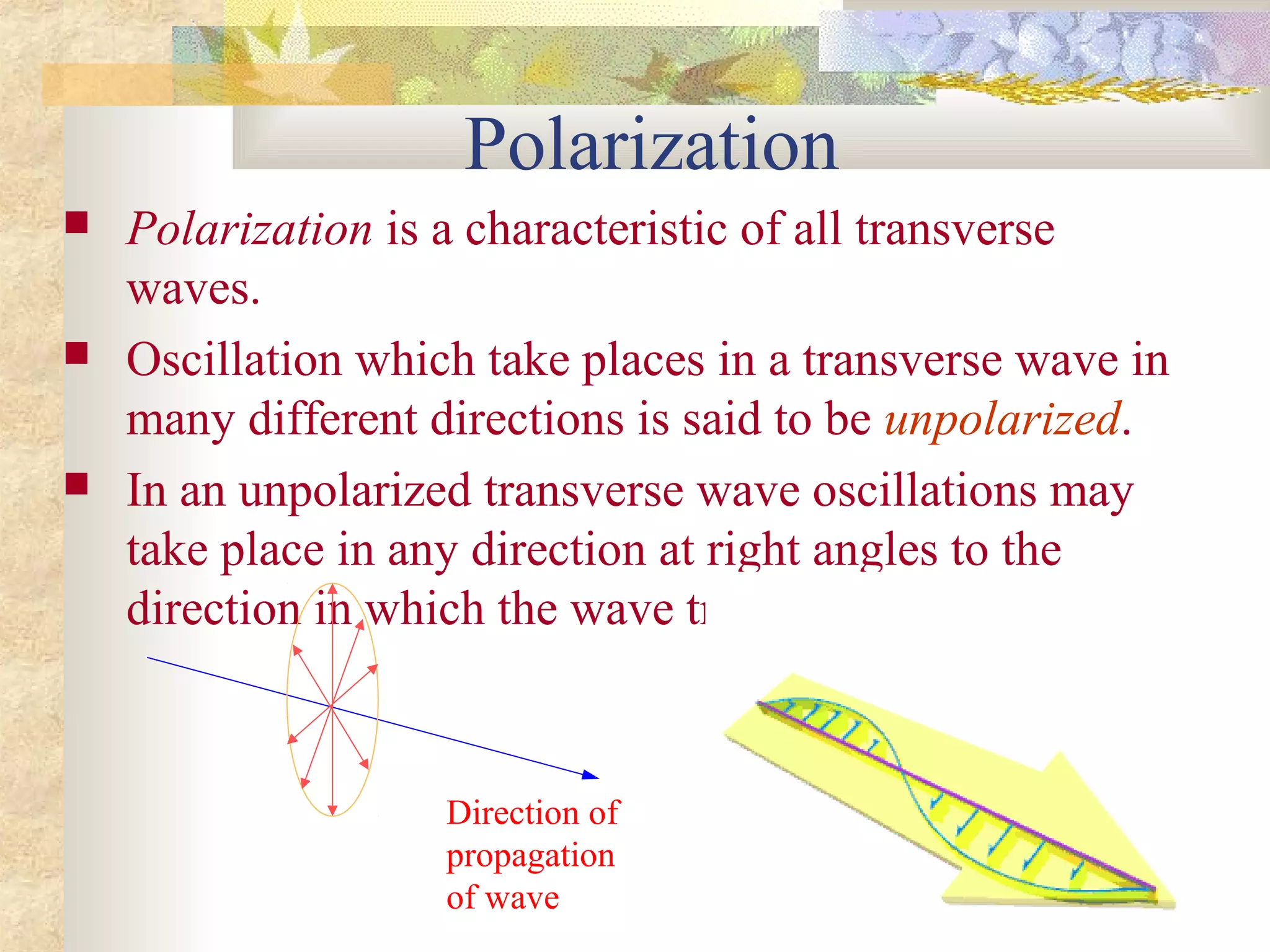 Polarization | PPT