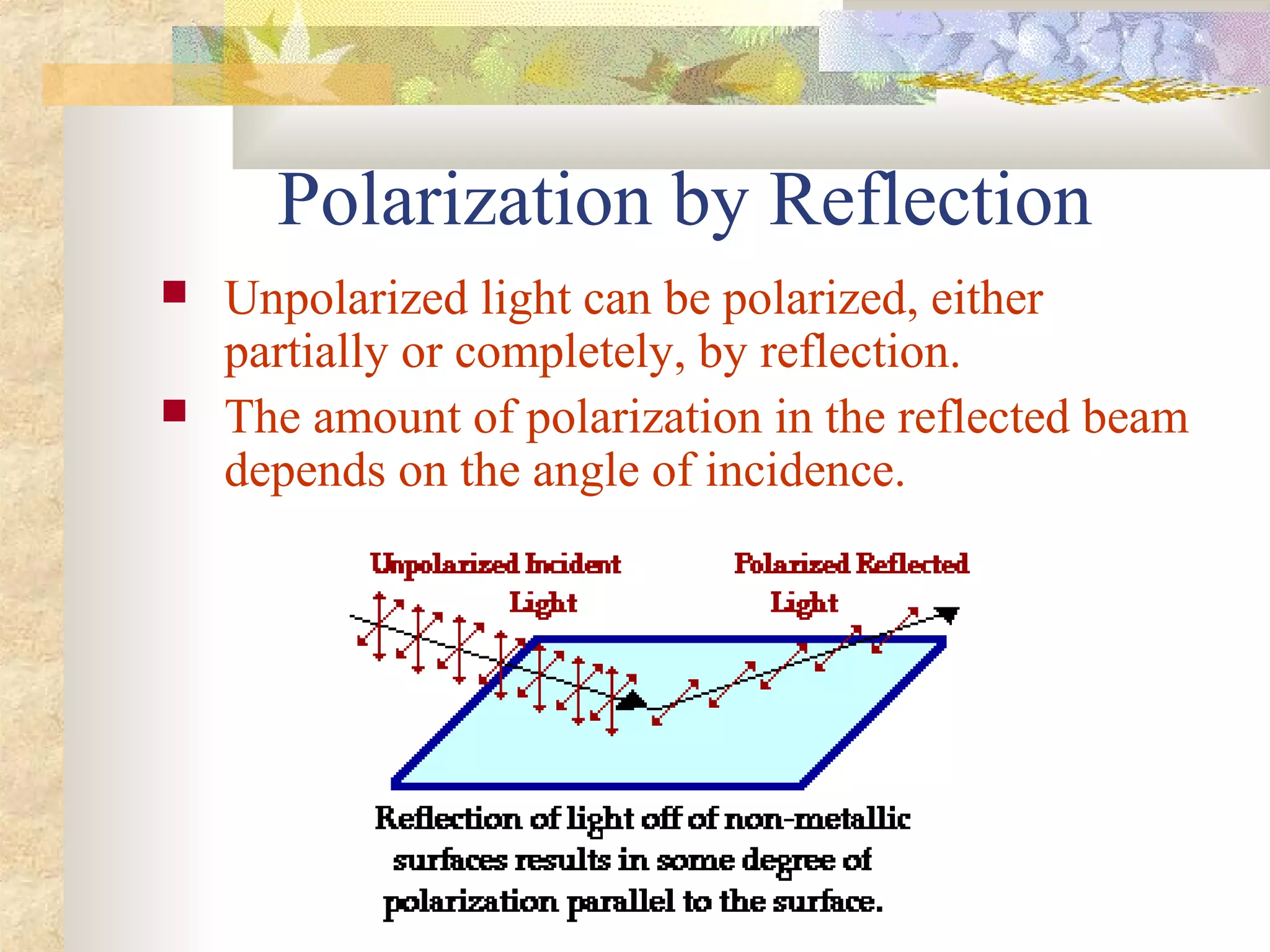 Polarization | PPT
