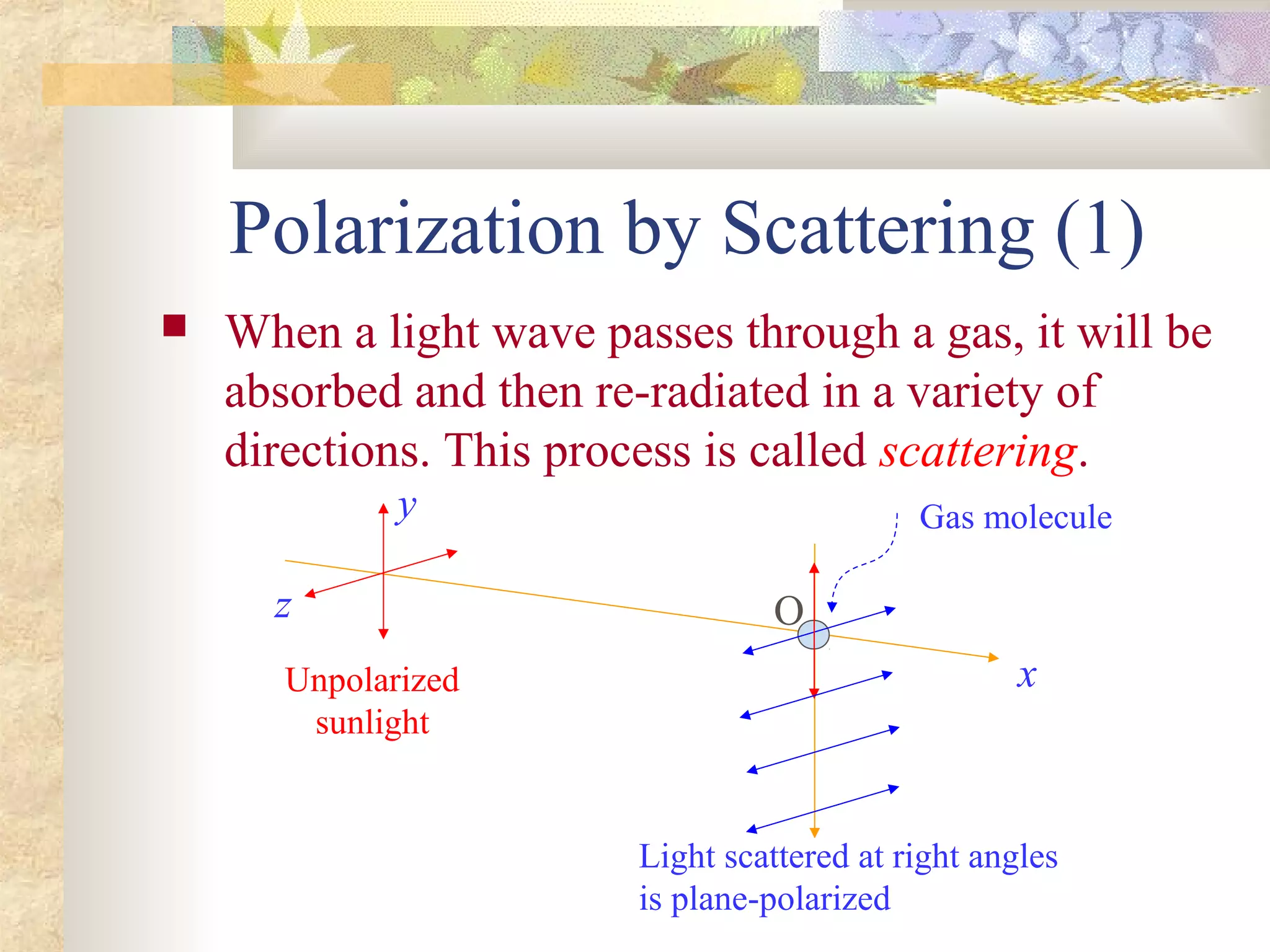 Polarization | PPT
