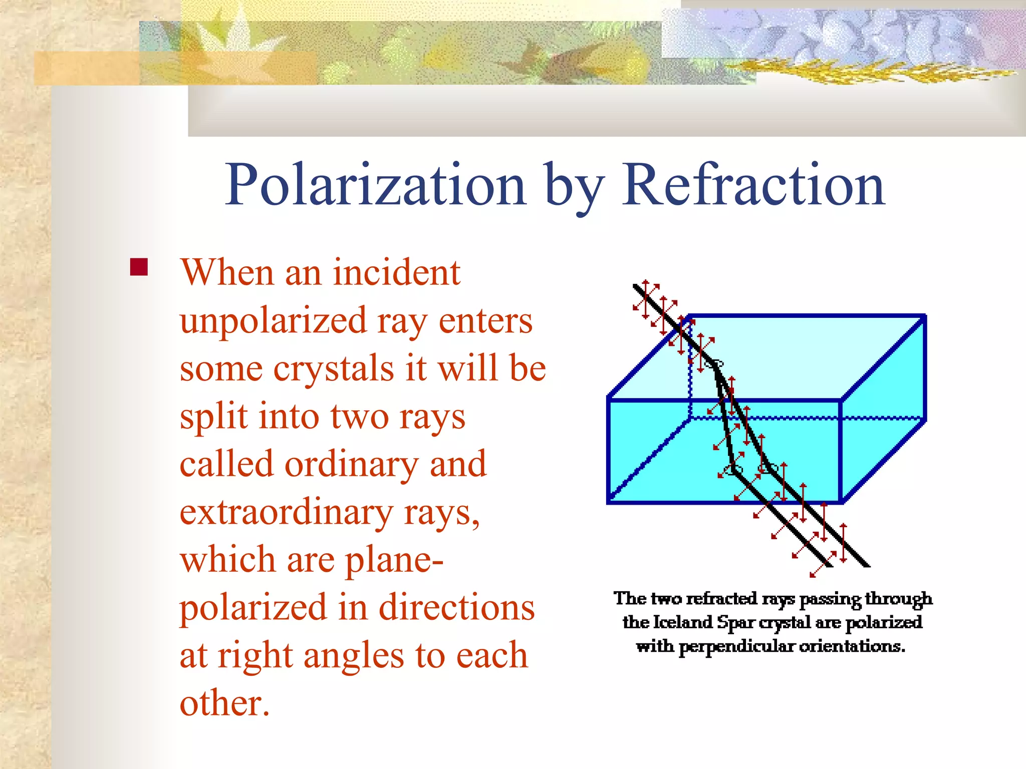 Polarization | PPT
