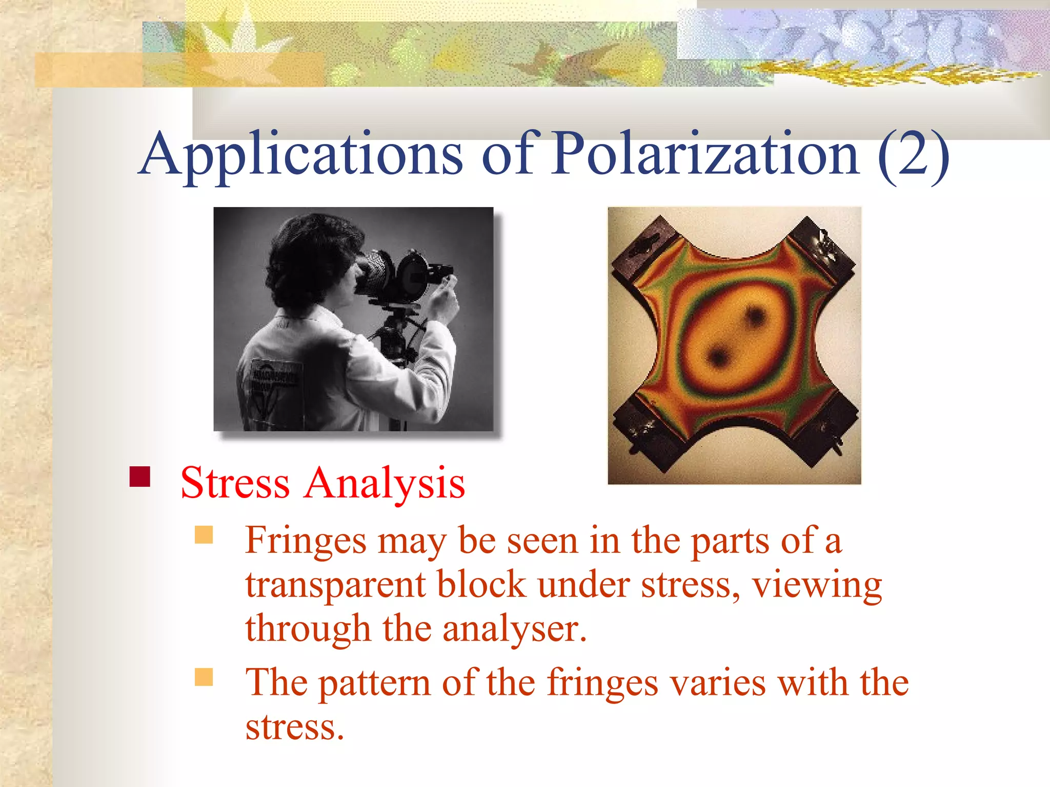 Polarization | PPT