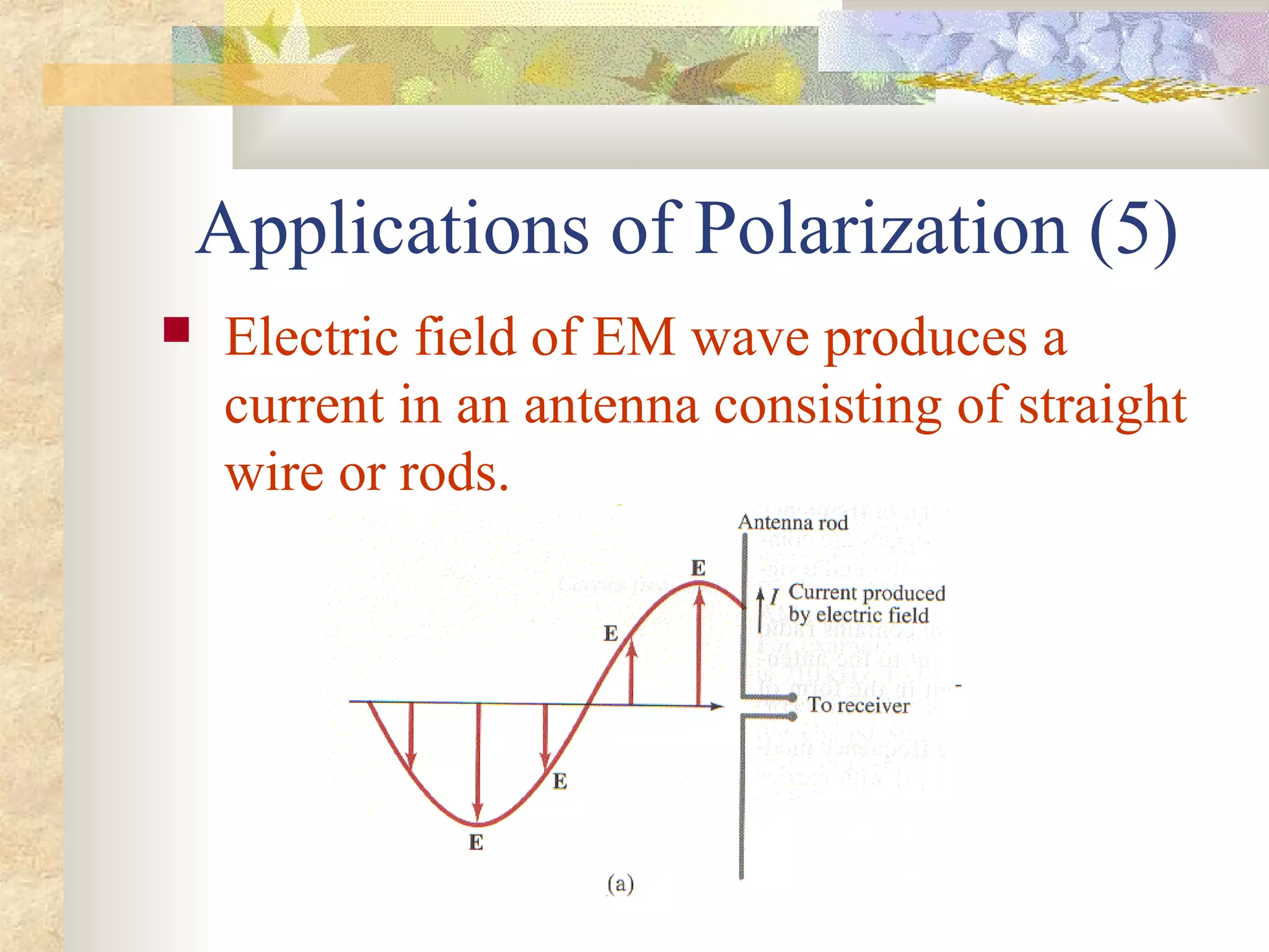 Polarization | PPT