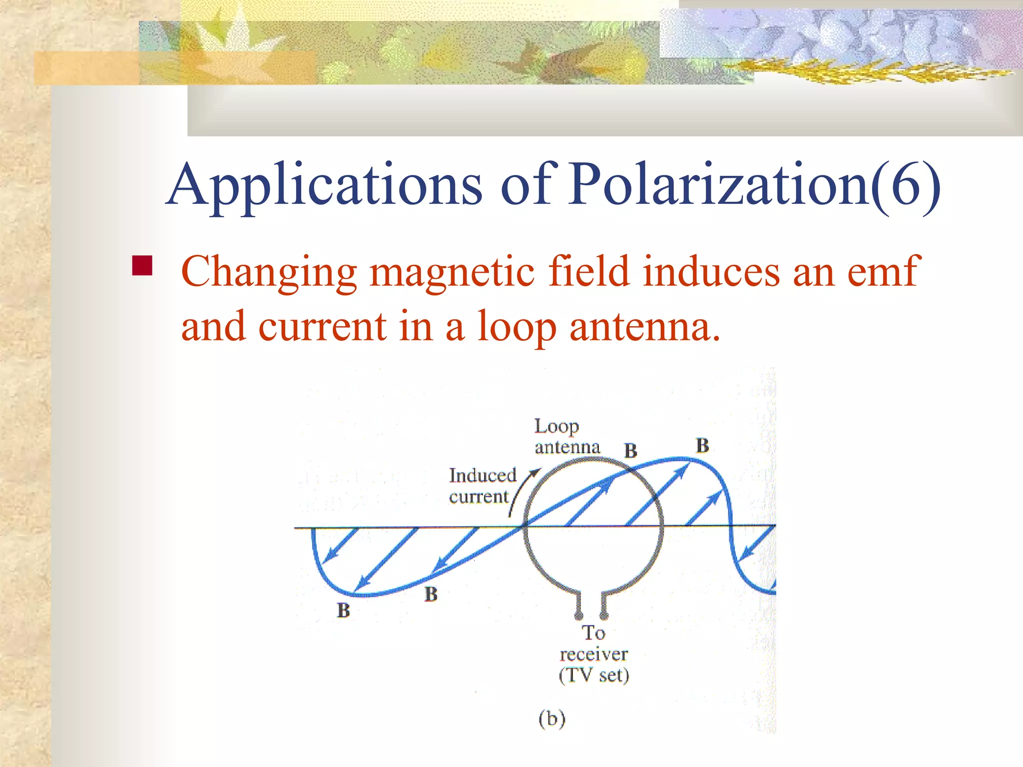 Polarization | PPT