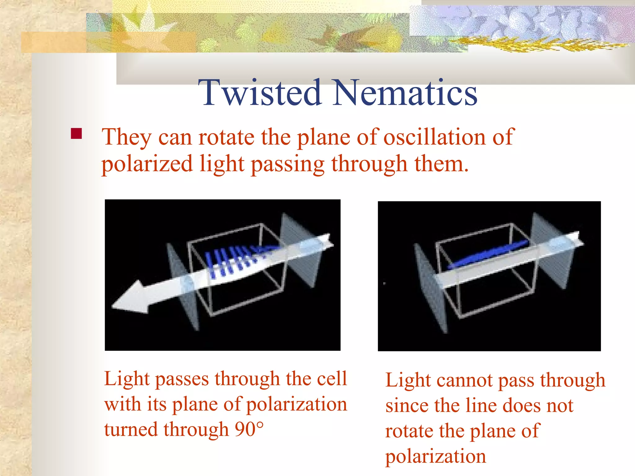Polarization | PPT