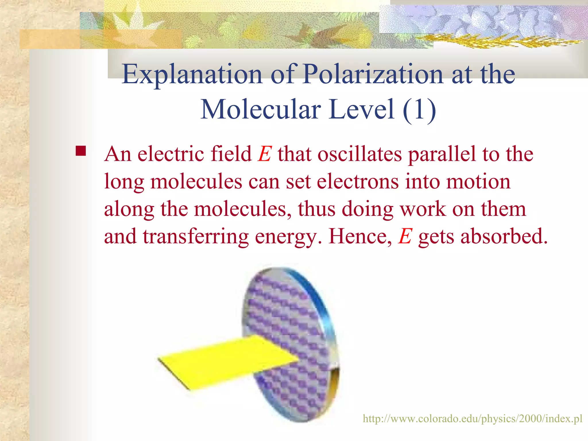 Polarization | PPT