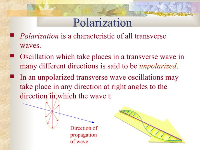 Polarization | PPT | Chemistry | Science