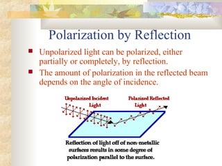 Polarization | PPT