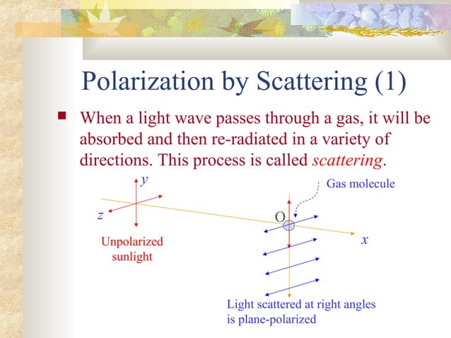 Polarization | PPT | Chemistry | Science