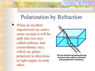 Polarization | PPT