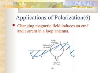 Polarization | PPT