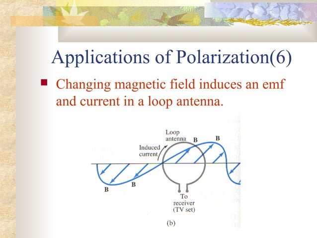 Polarization | PPT | Chemistry | Science