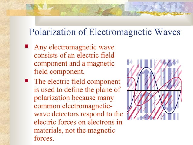 Polarization | PPT | Chemistry | Science