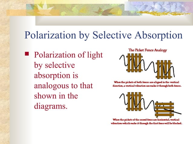 Polarization | PPT | Chemistry | Science