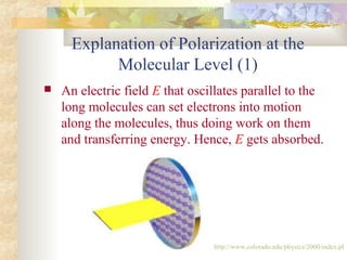 Polarization | PPT