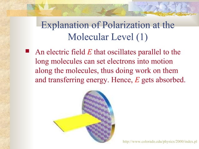 Polarization | PPT | Chemistry | Science