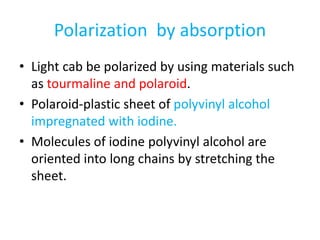 Polarization | PDF