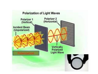 Polarization | PDF
