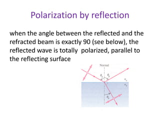 Polarization | PDF