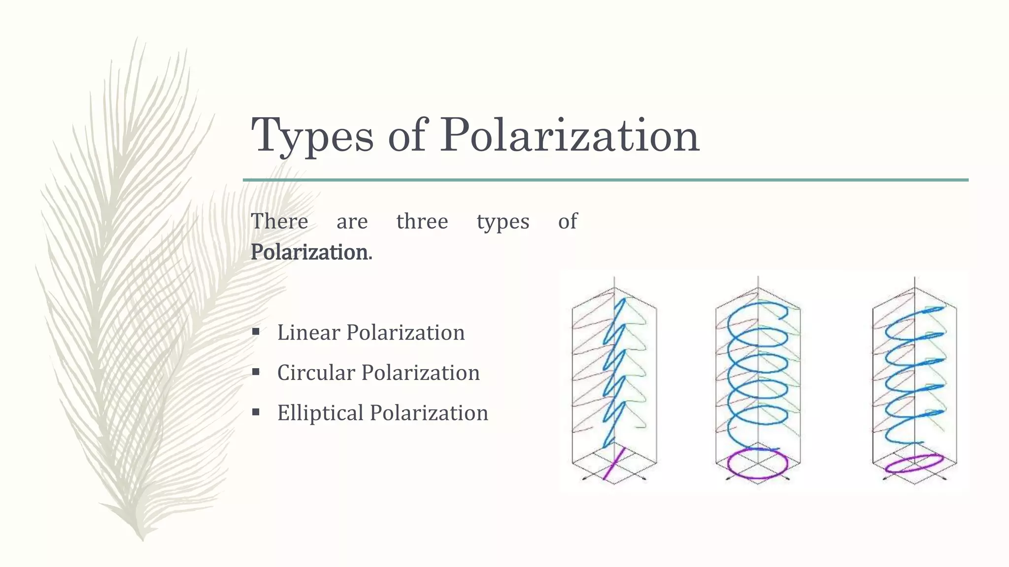 Wave Polarization | PPTX