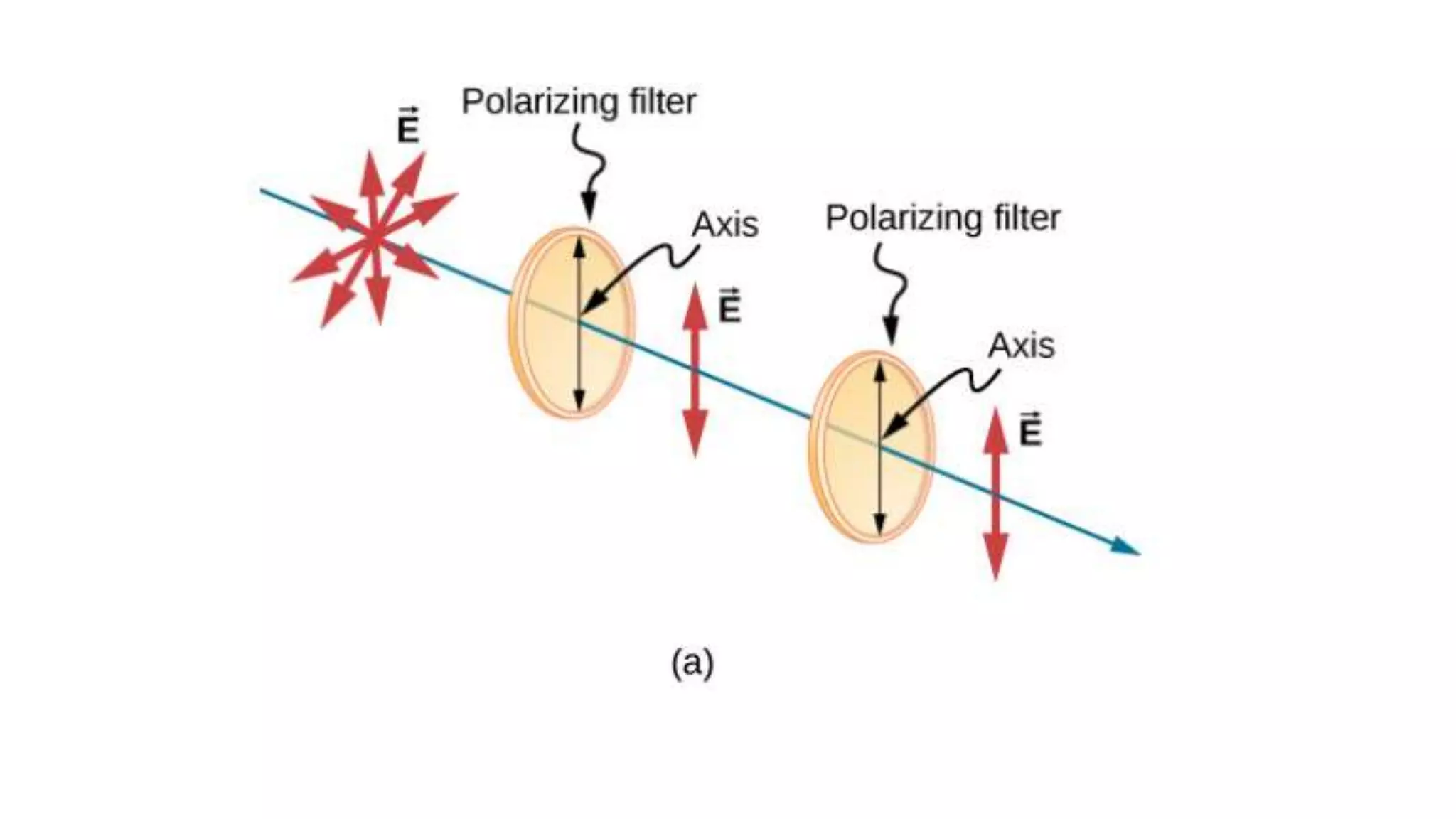 Polarization | PPTX | Physics | Science