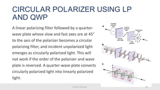 Polarization of Light | PDF