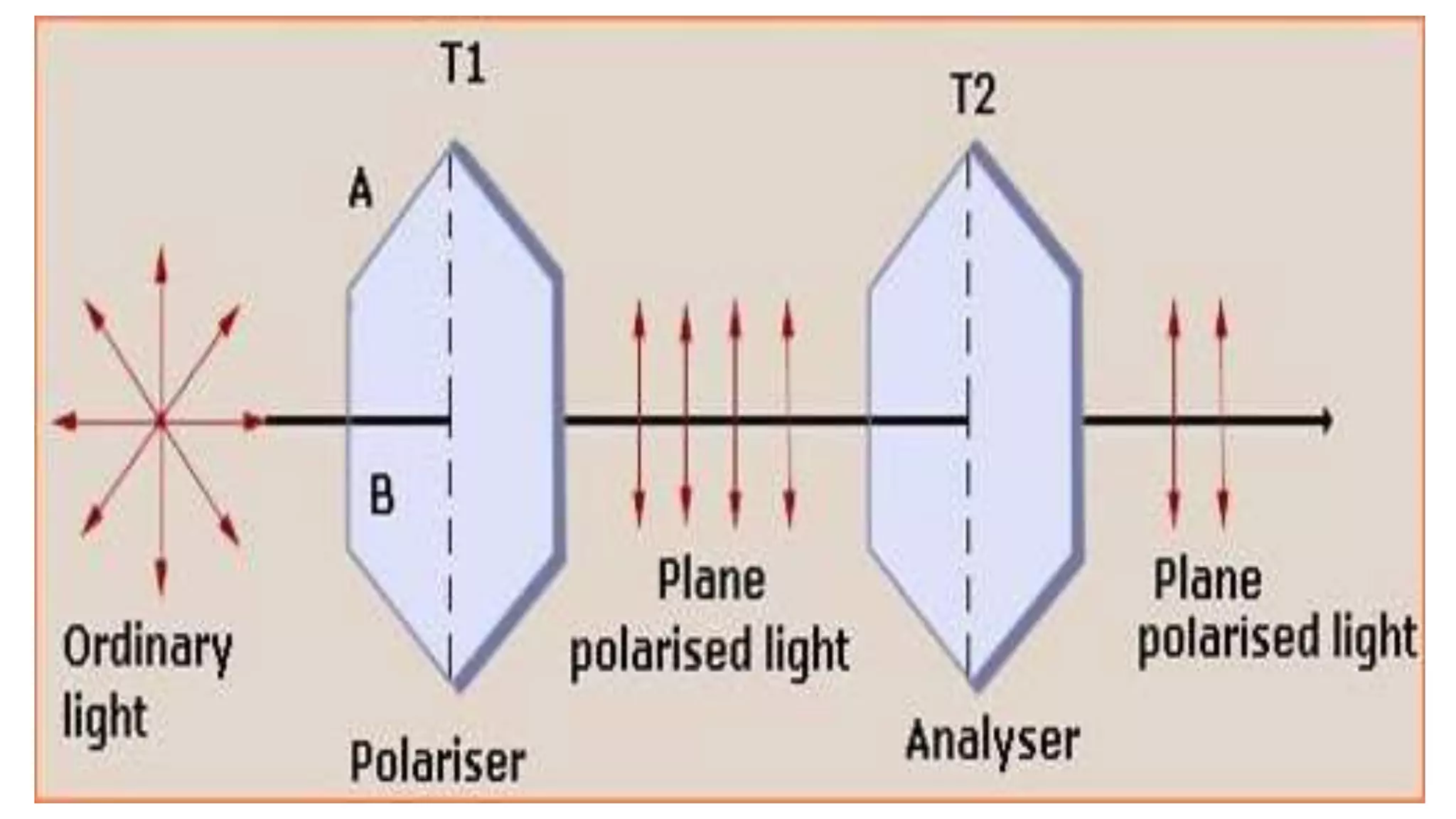POLARIZATION.pptx