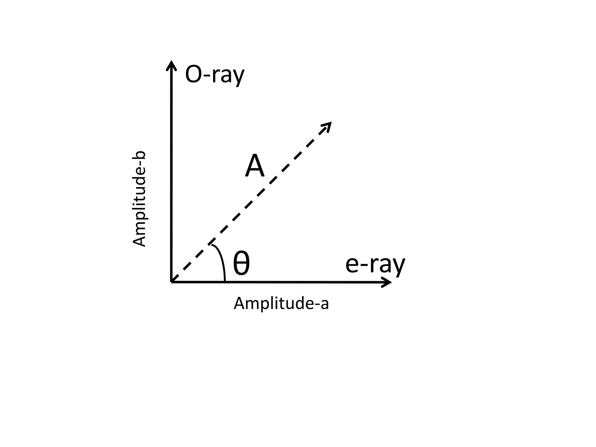 Polarization Physics Optics.pptx | Geology | Science