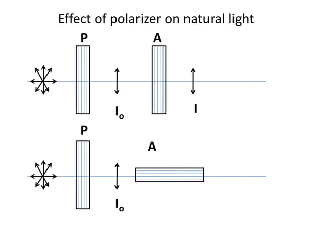 Polarization Physics Optics.pptx | Geology | Science