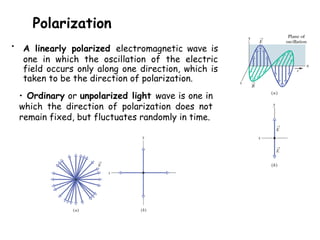 Polarization and polarid | PPT