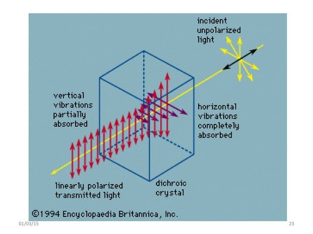 Polarization and its application | PPT | Physics | Science