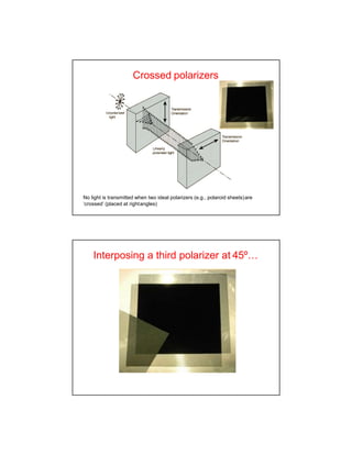 basics polarization ppt of light lecture | PPTX | Chemistry | Science