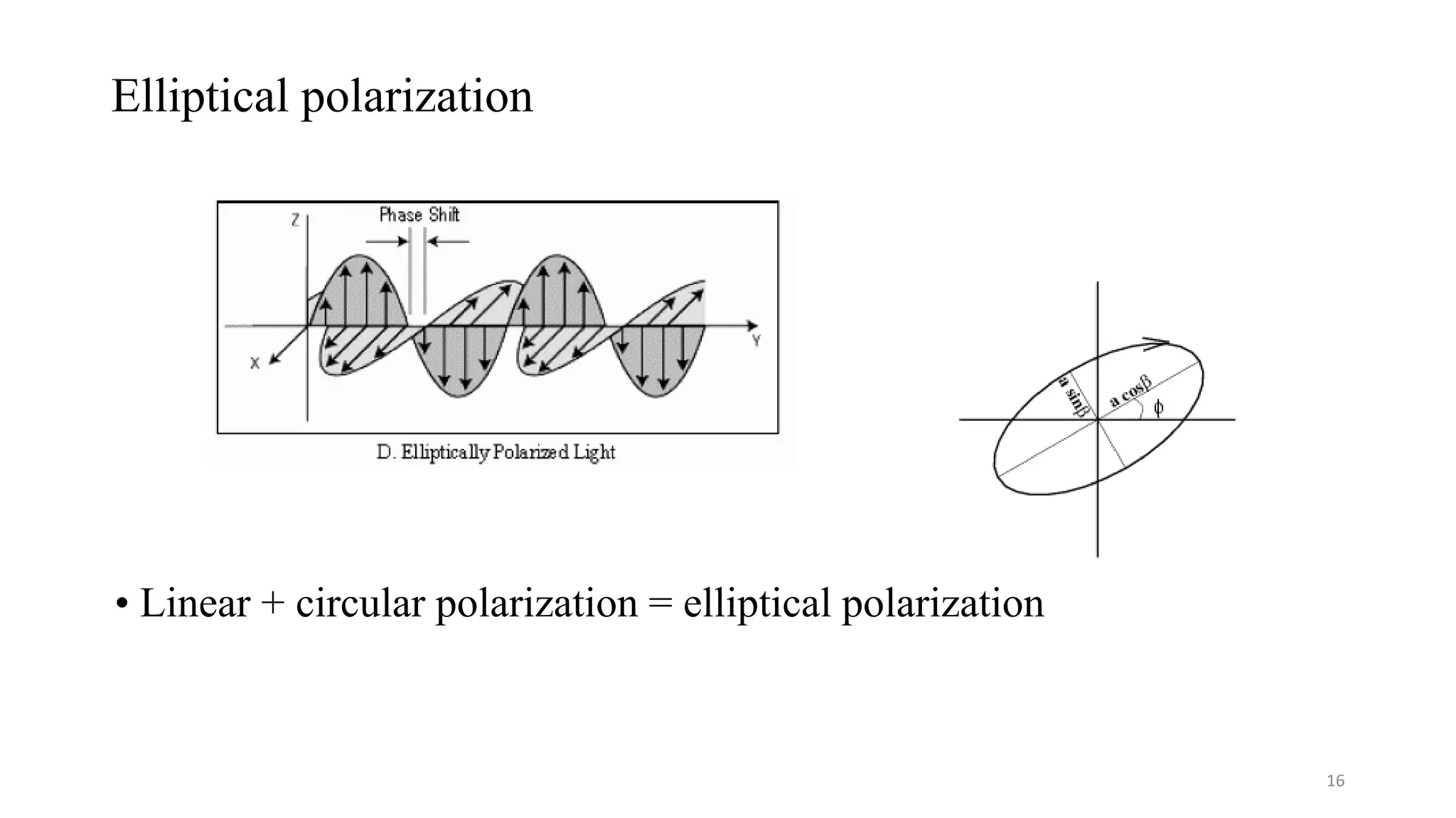 Polarization Of Light Class Note Pdf